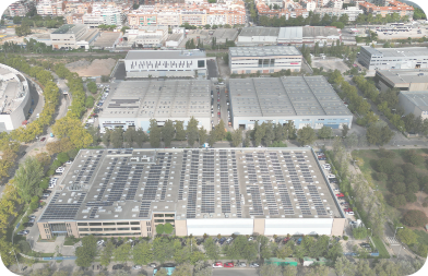Company
